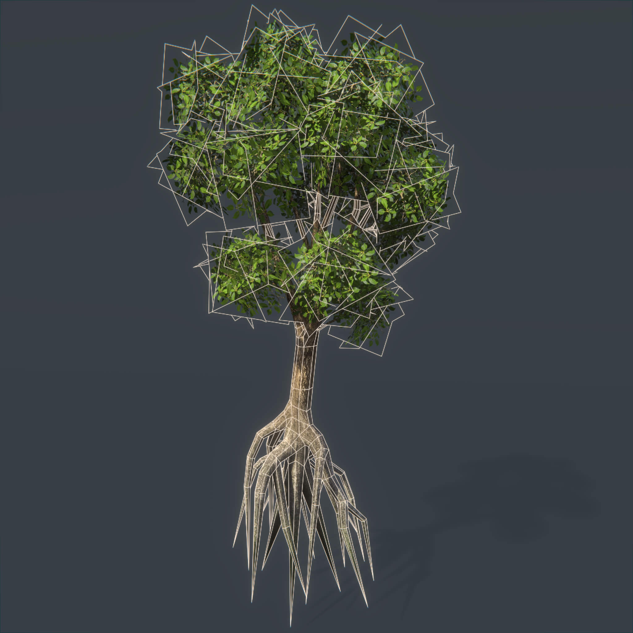 Low Poly Mangrove Trees - 3D Model by vvoitec