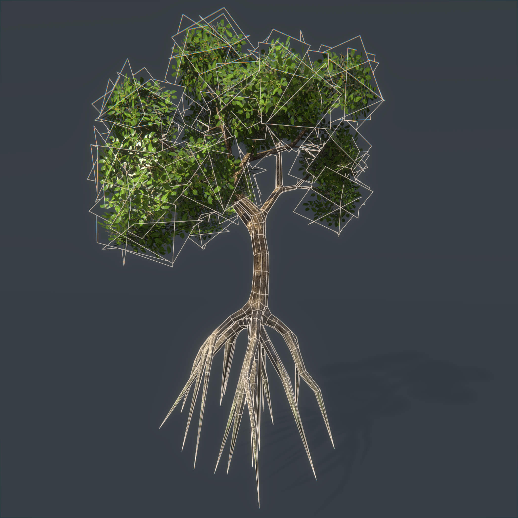 Low Poly Mangrove Trees - 3D Model by vvoitec