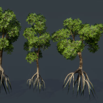 Low Poly Mangrove Trees - 3D Model by vvoitec