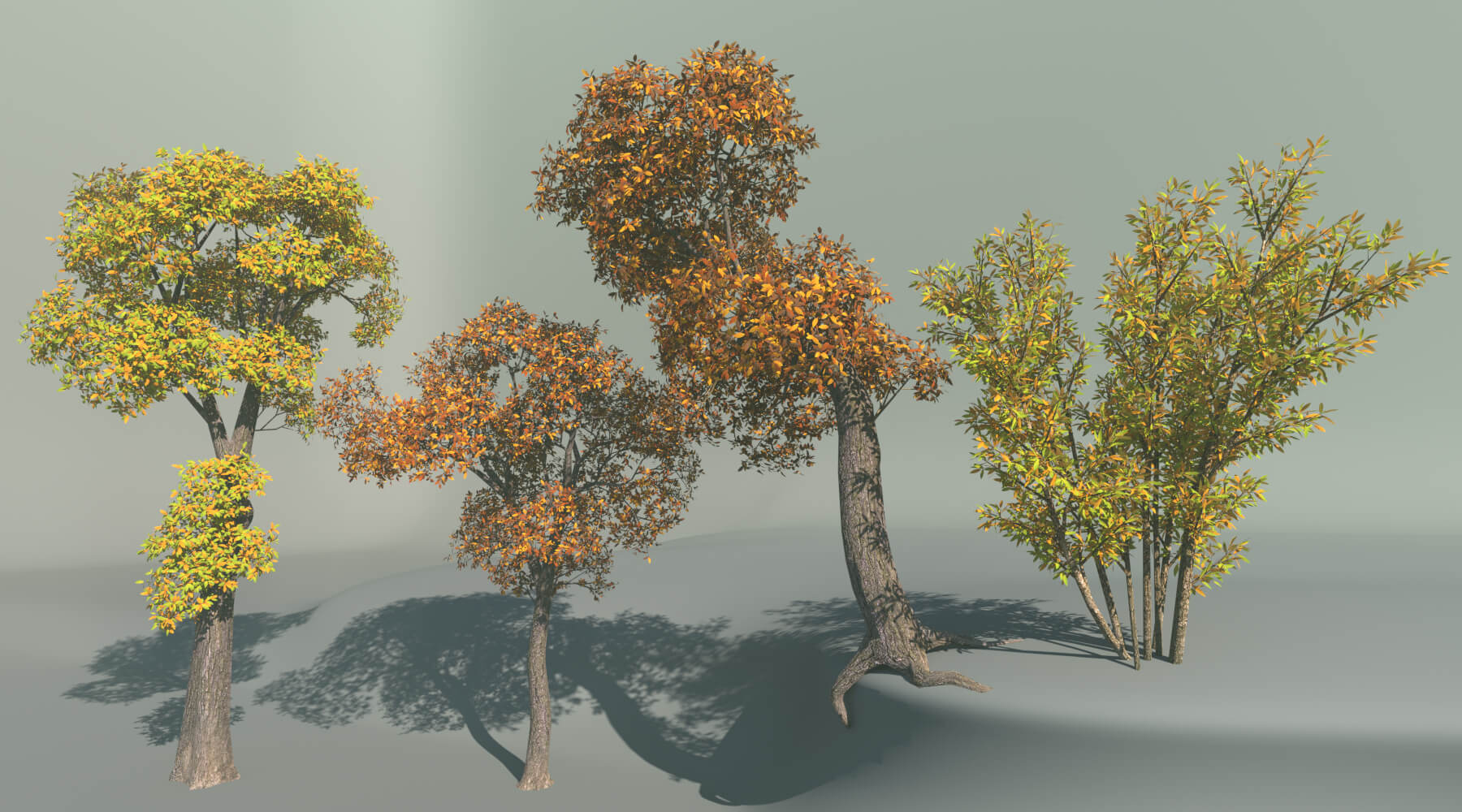 Summer and Autumn Tree Collection - 3D Model by vvoitec