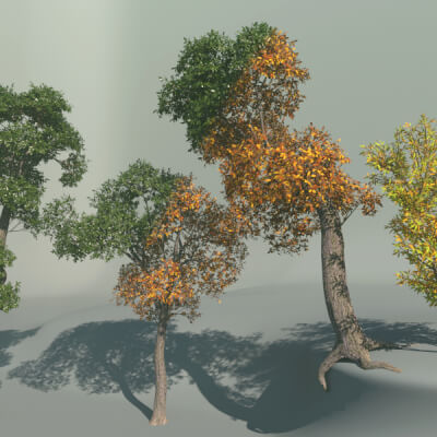 Summer and Autumn Tree Collection - 3D Model by vvoitec