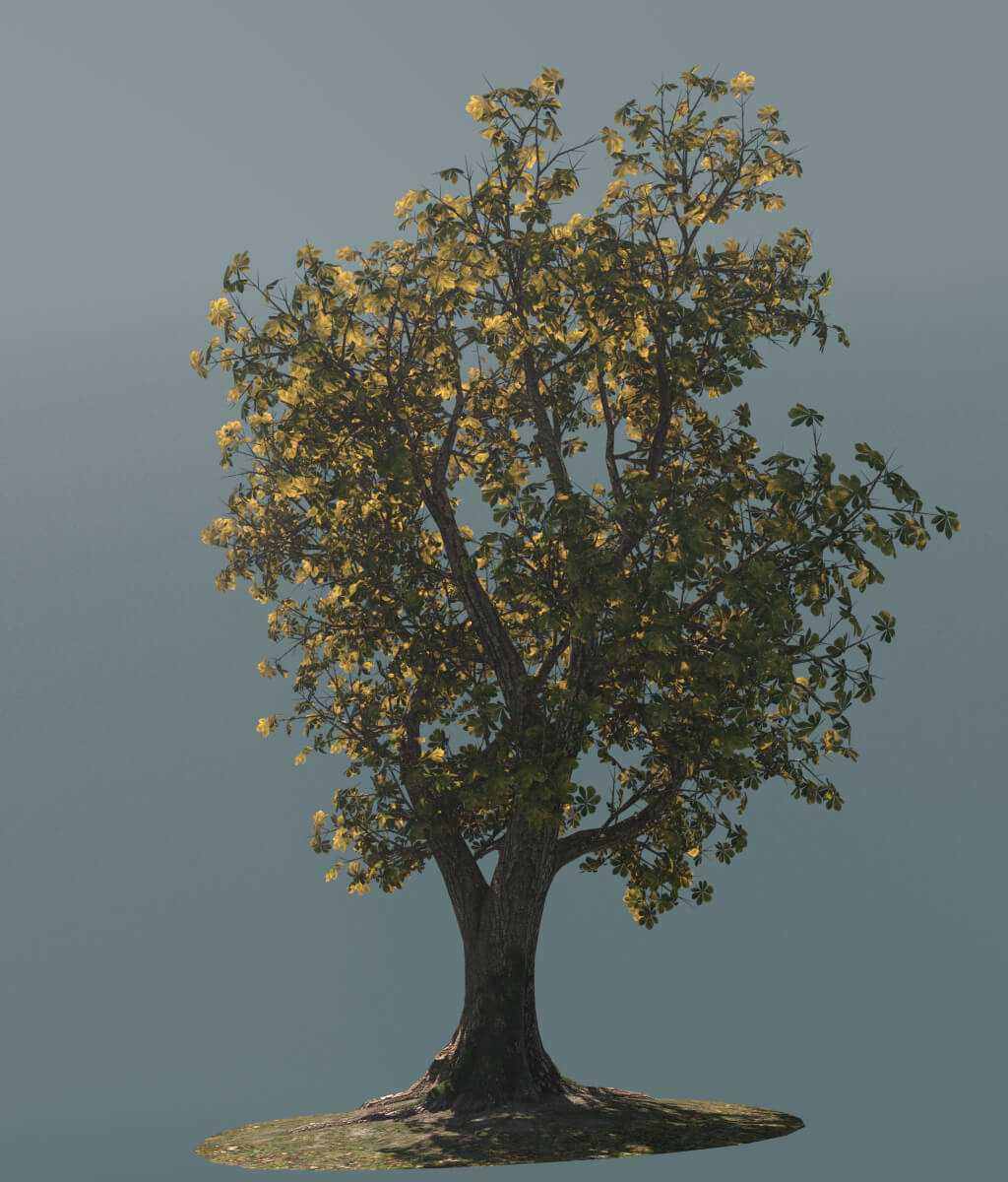 Summer and Autumn Tree - 3D Model by vvoitec