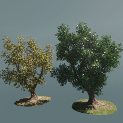 3D Models | Trees | Chestnut Trees | RenderHub