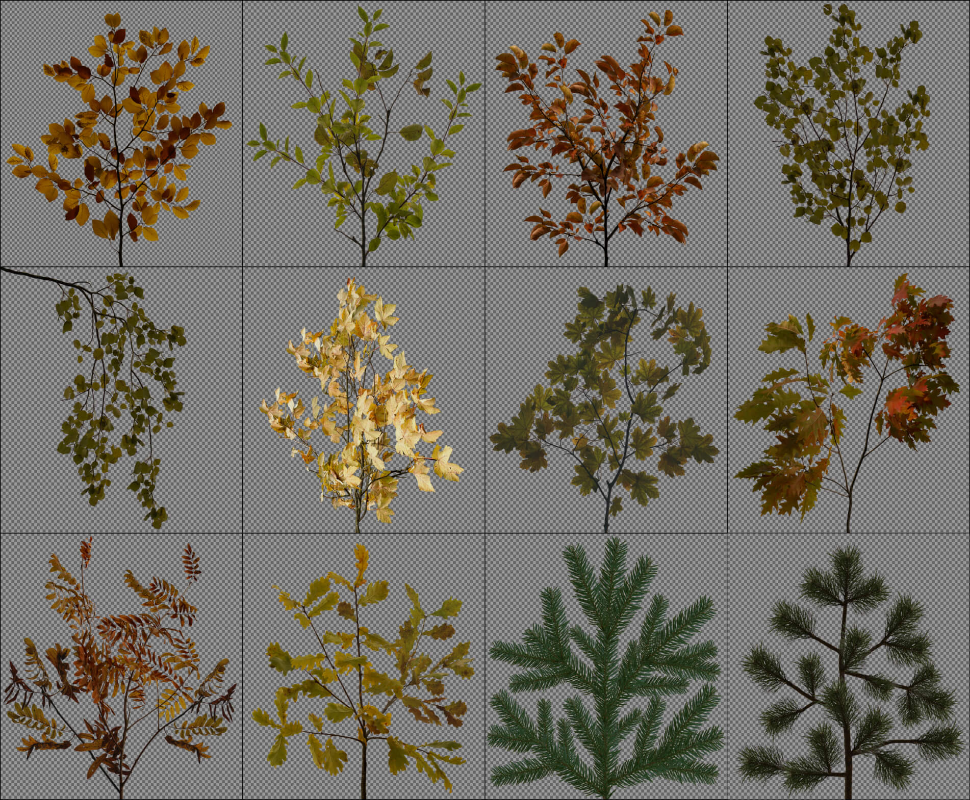 Tree Branches With Alpha Channel - 3D Texture by vvoitec