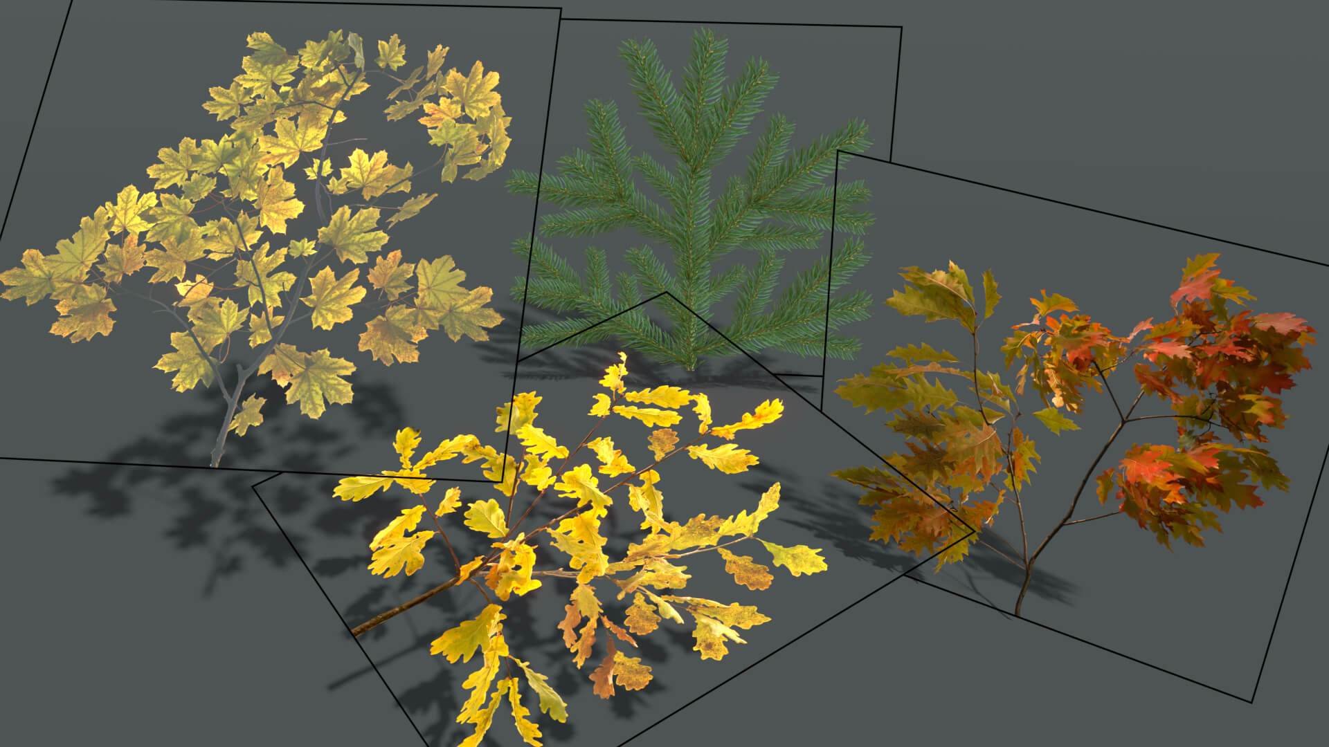 Tree Branches With Alpha Channel - 3D Texture by vvoitec