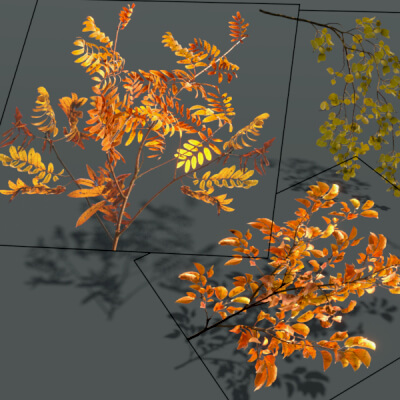 Tree Branches With Alpha Channel - 3D Texture by vvoitec