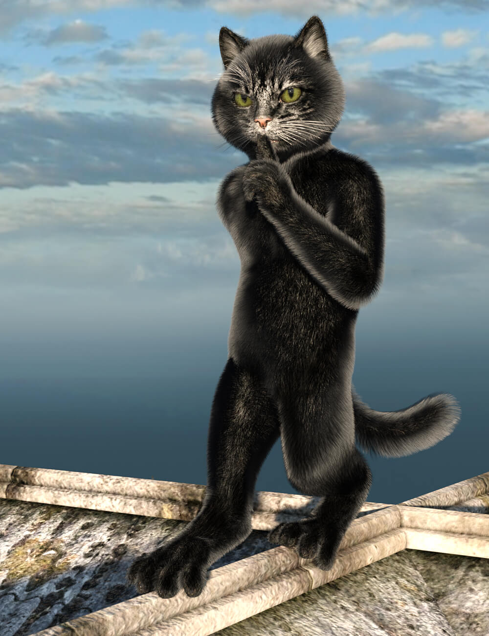 Catoon Black Fur and Texture Addon - Daz Content by Vyusur