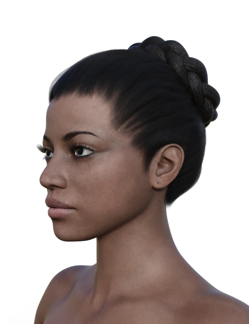 Braid Updo Hair for G8F and G8.1F - Daz Content by Vyusur