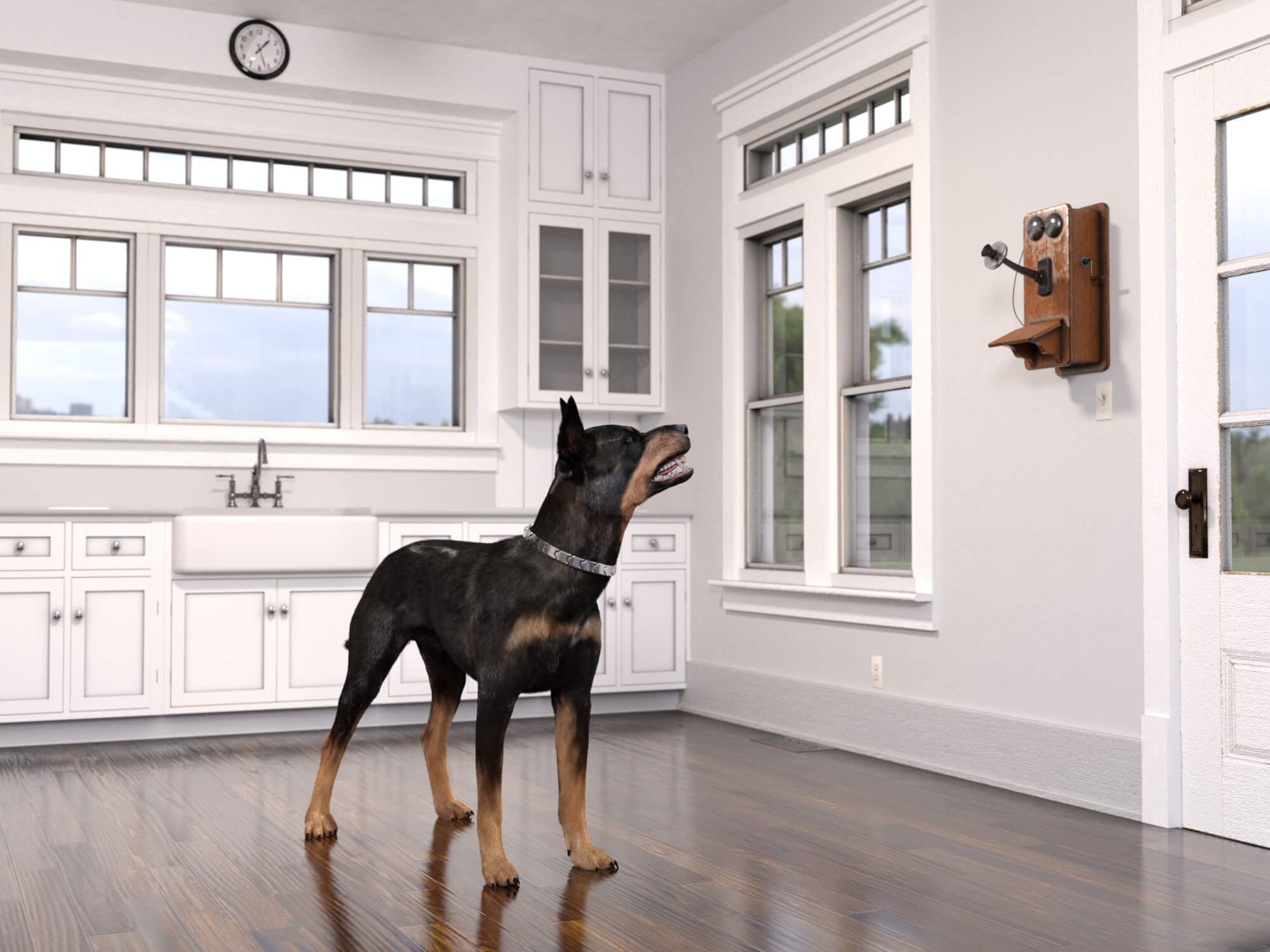 Doberman Standalone - Daz Content by Vyusur