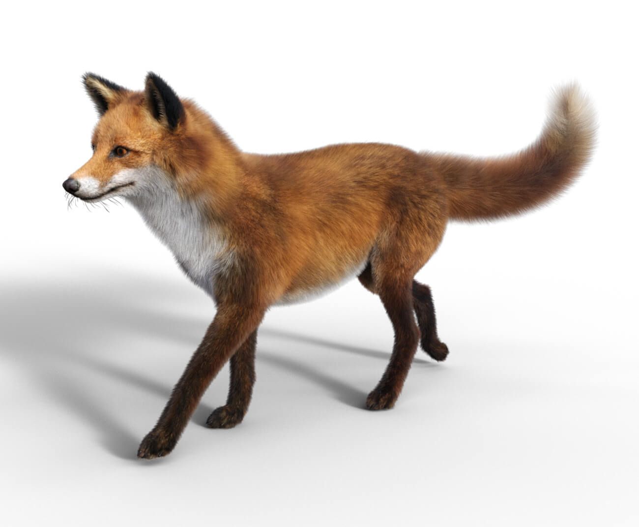 Fox Original Standalone Figure - Daz Content by Vyusur