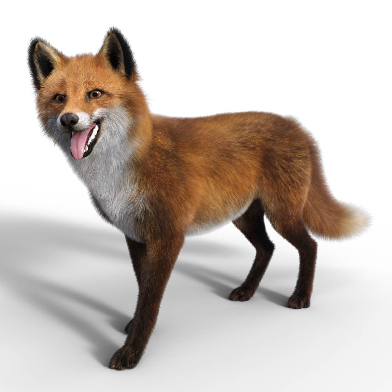 Fox Original Standalone Figure - Daz Content by Vyusur