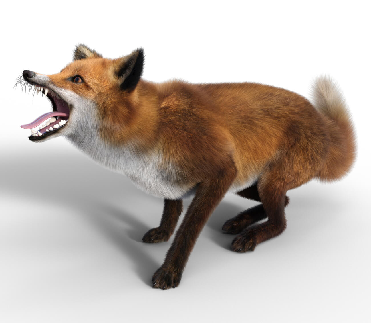 Fox Original Standalone Figure - Daz Content by Vyusur