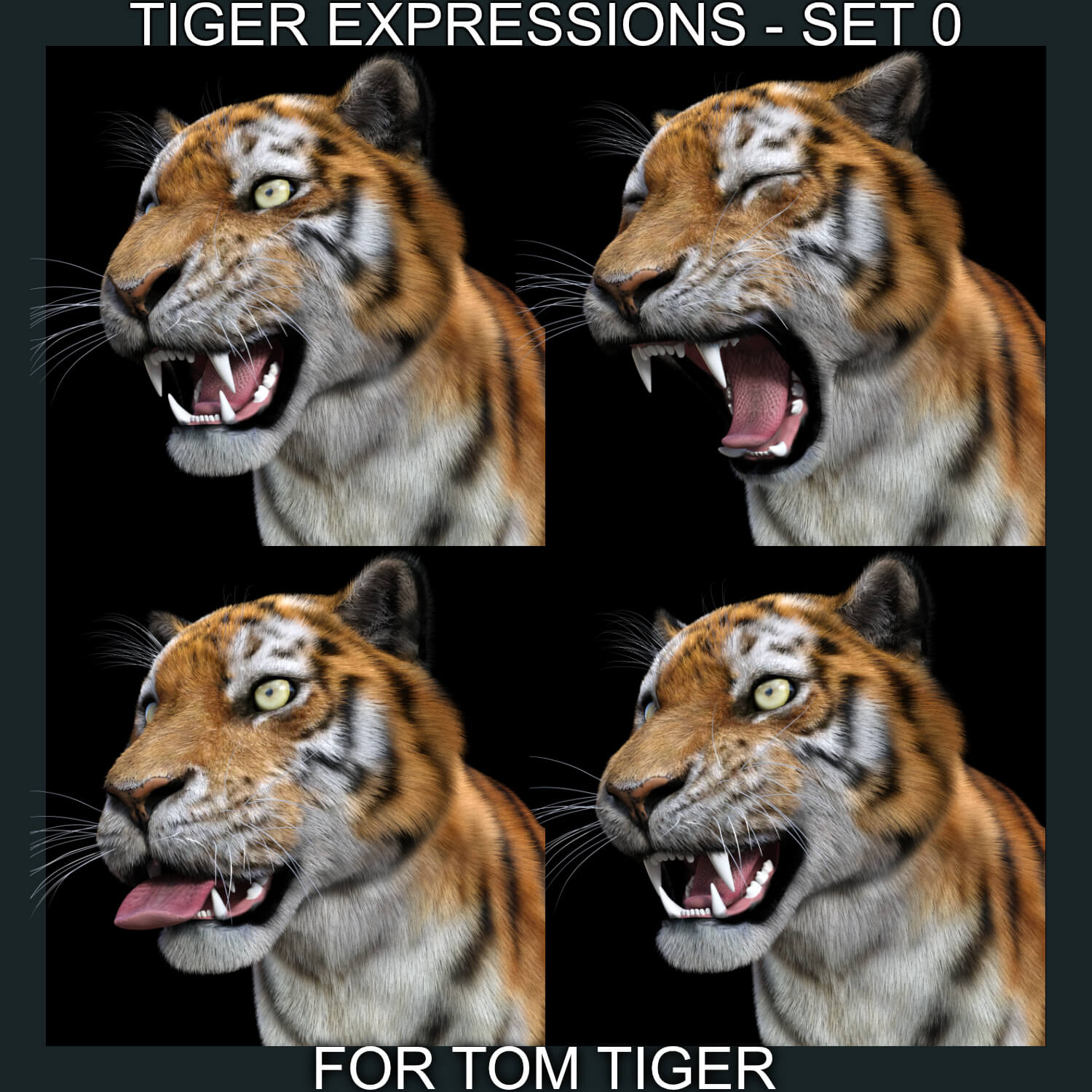 Tiger Expressions Free Set 0 3D Render, Digital Art by Vyusur
