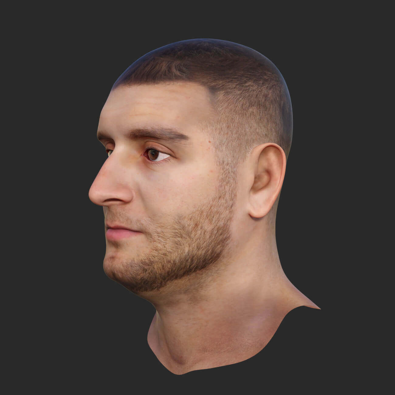 Male Head Base Mesh 03 - 3D Model by Vyusur