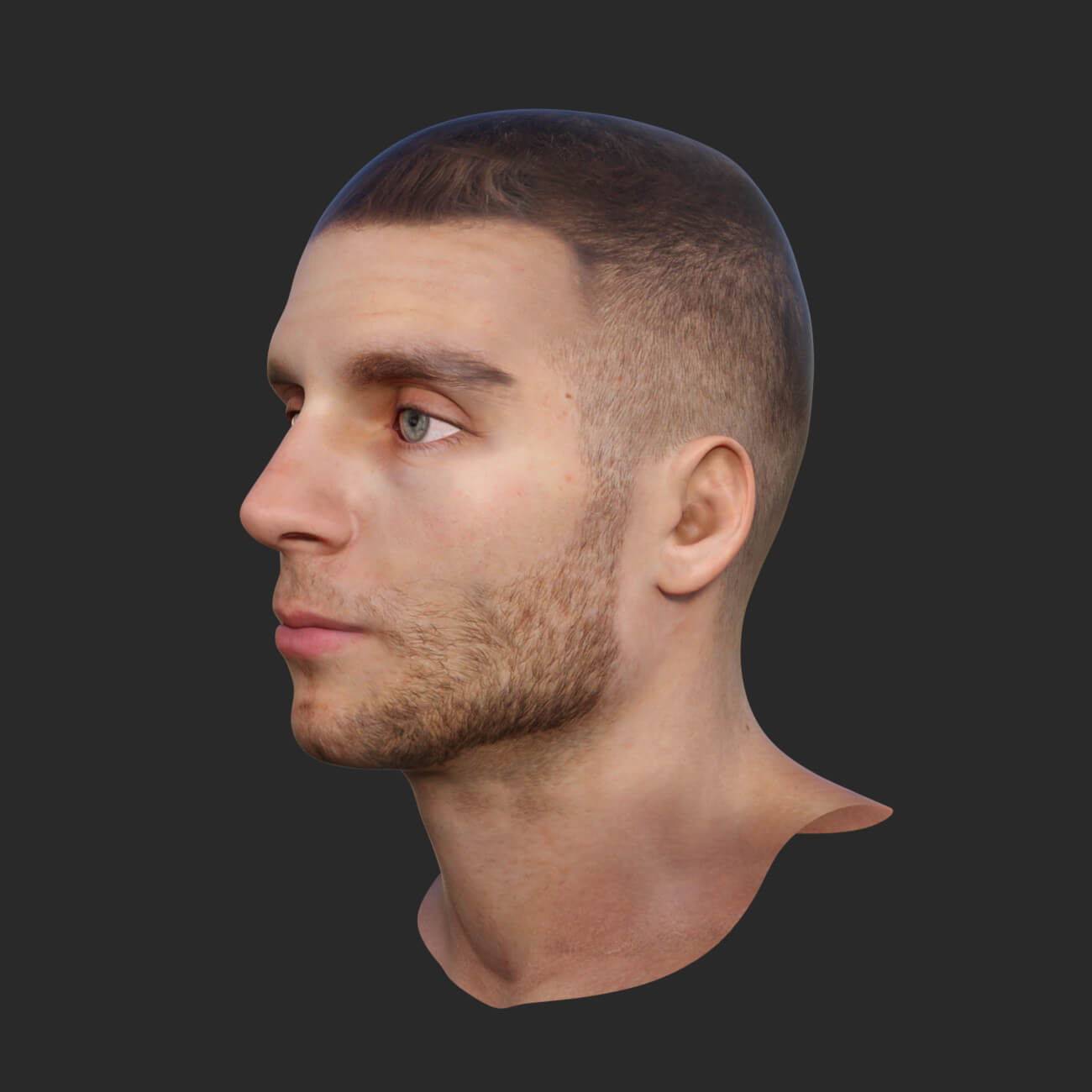Male Head Base Mesh 05 - 3D Model by Vyusur