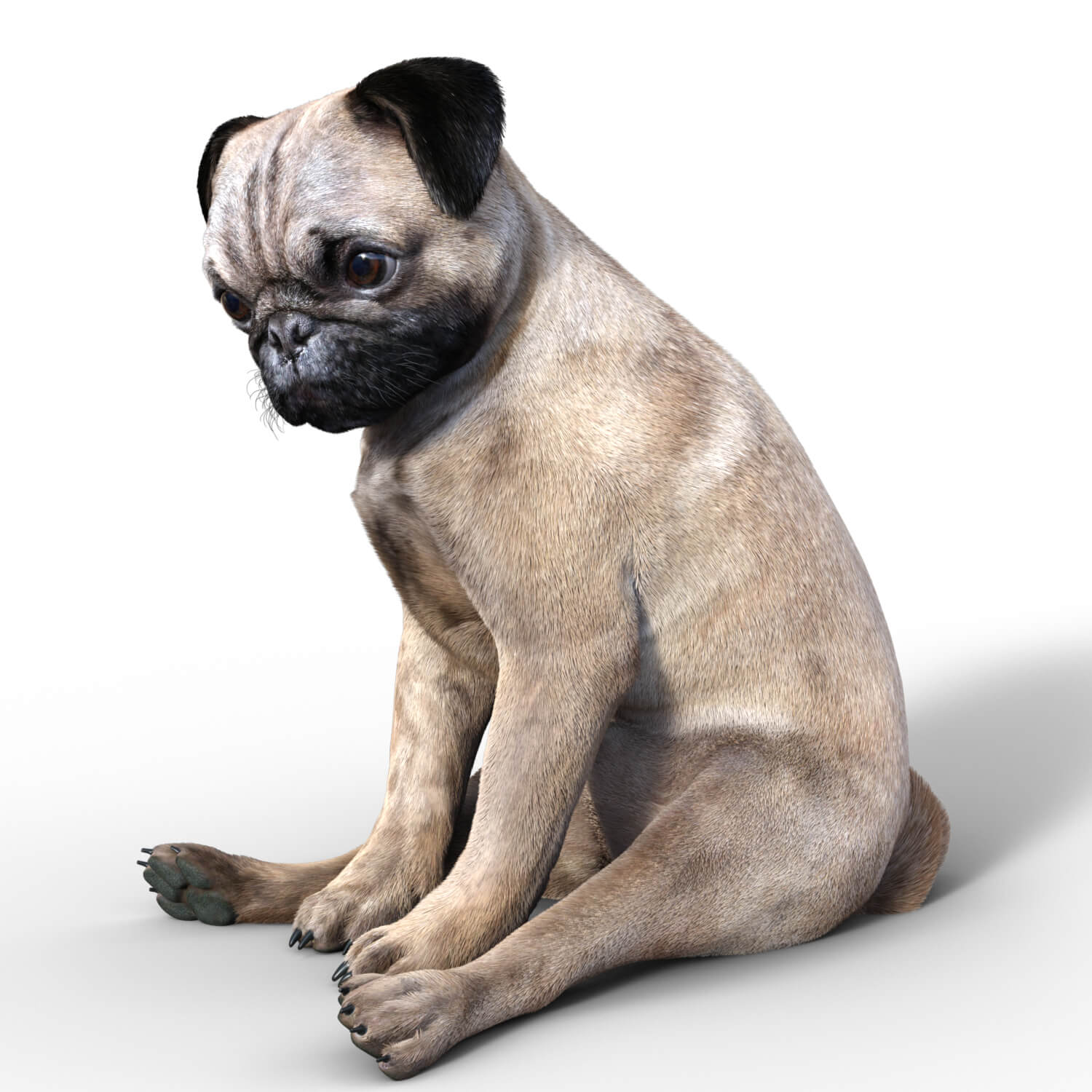 Puggy for DAZ Studio by Vyusur