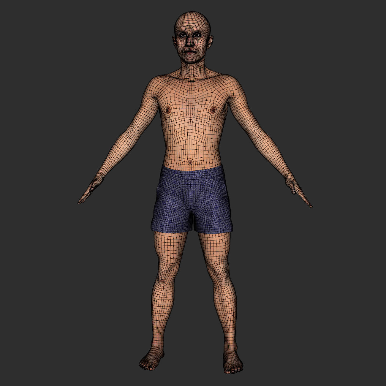 Sim Base Mesh - 3D Model by Vyusur