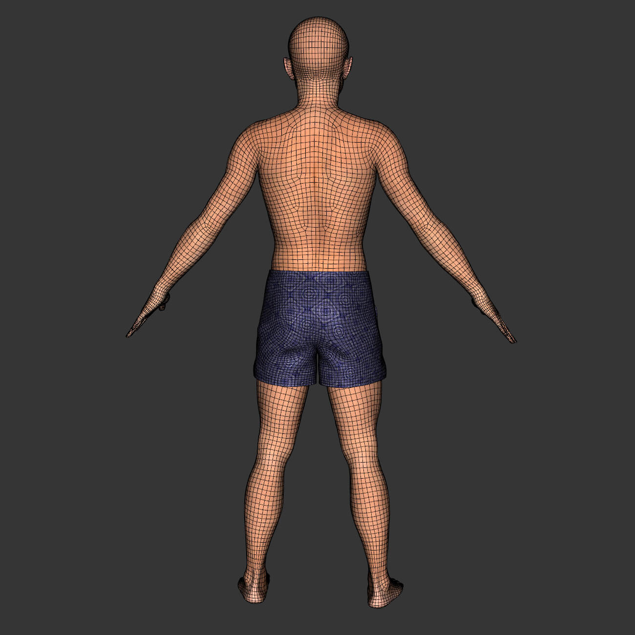 Sim Base Mesh - 3D Model by Vyusur