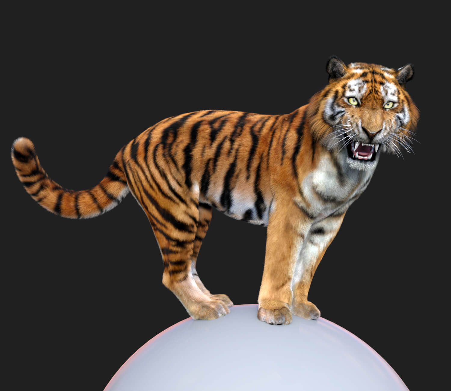 Strand-Based Velvet Hair for Tom Tiger Free Daz Content by Vyusur