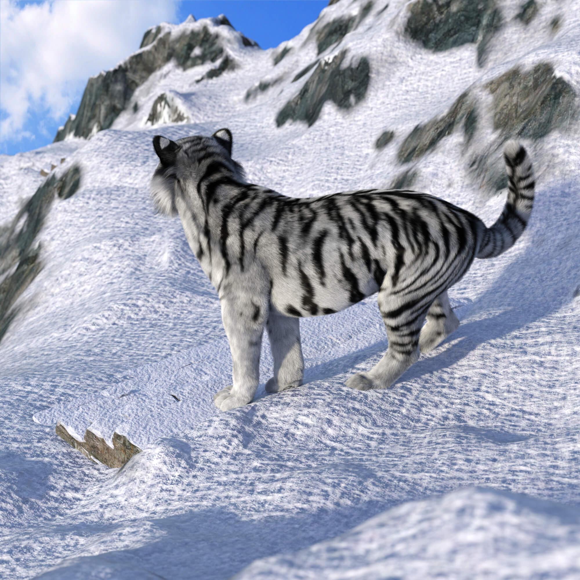 White Tiger for Tom Tiger - Daz Content by Vyusur