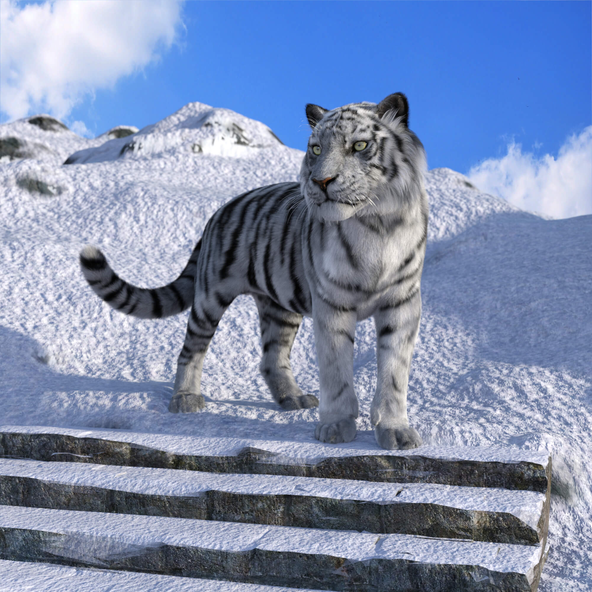 White Tiger for Tom Tiger - Daz Content by Vyusur