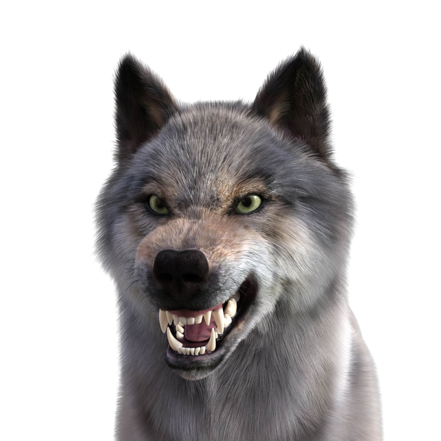 Wolf Standalone Figure - Daz Content by Vyusur