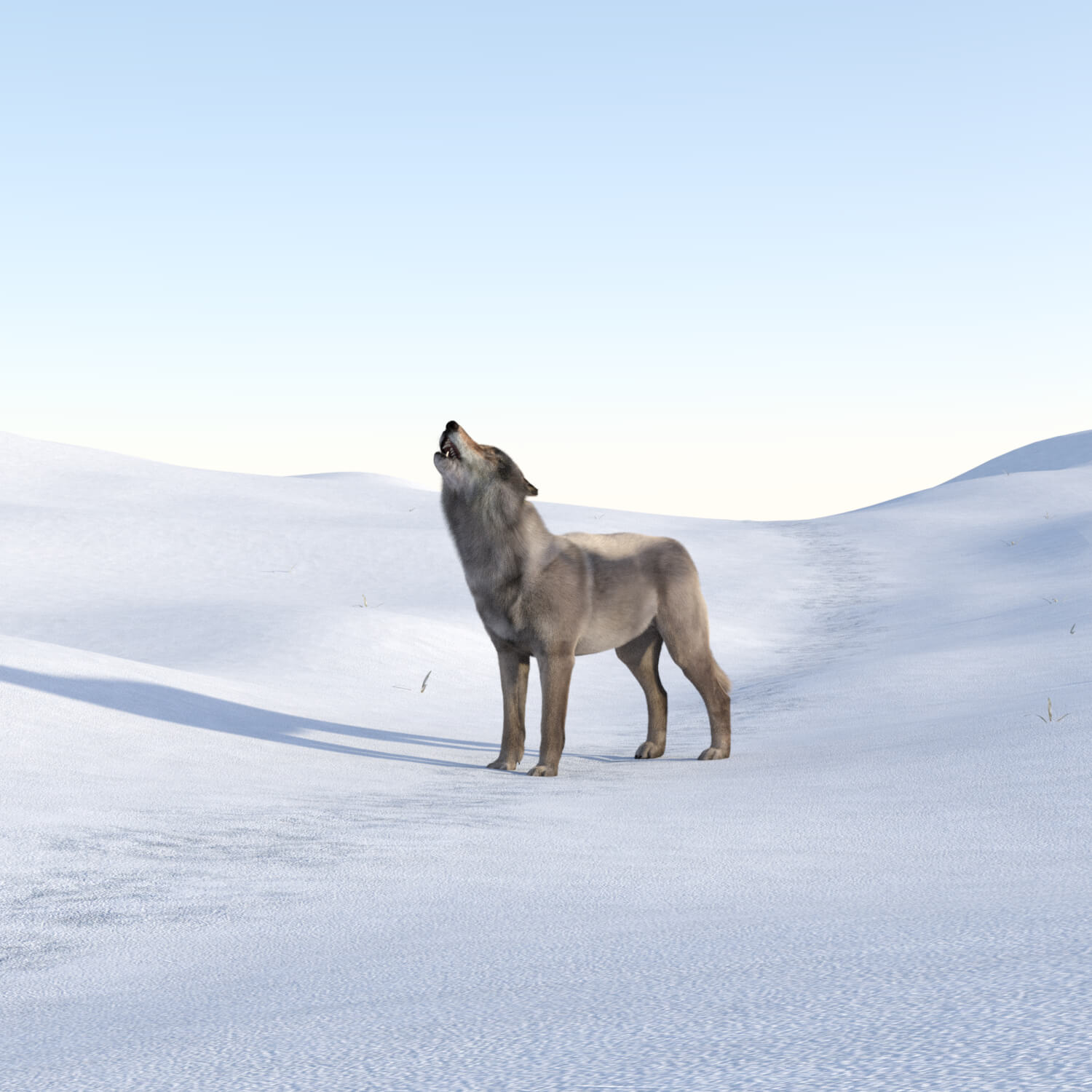 Wolf Standalone Figure - Daz Content by Vyusur