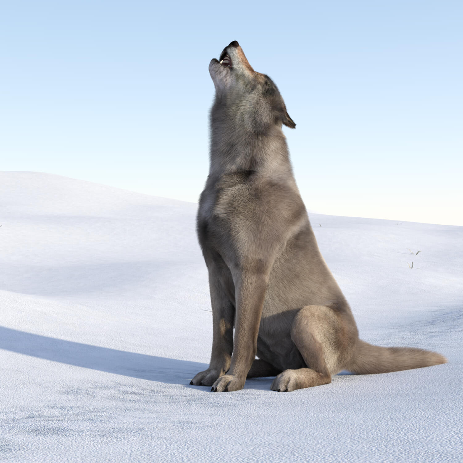 Wolf Standalone Figure - Daz Content by Vyusur