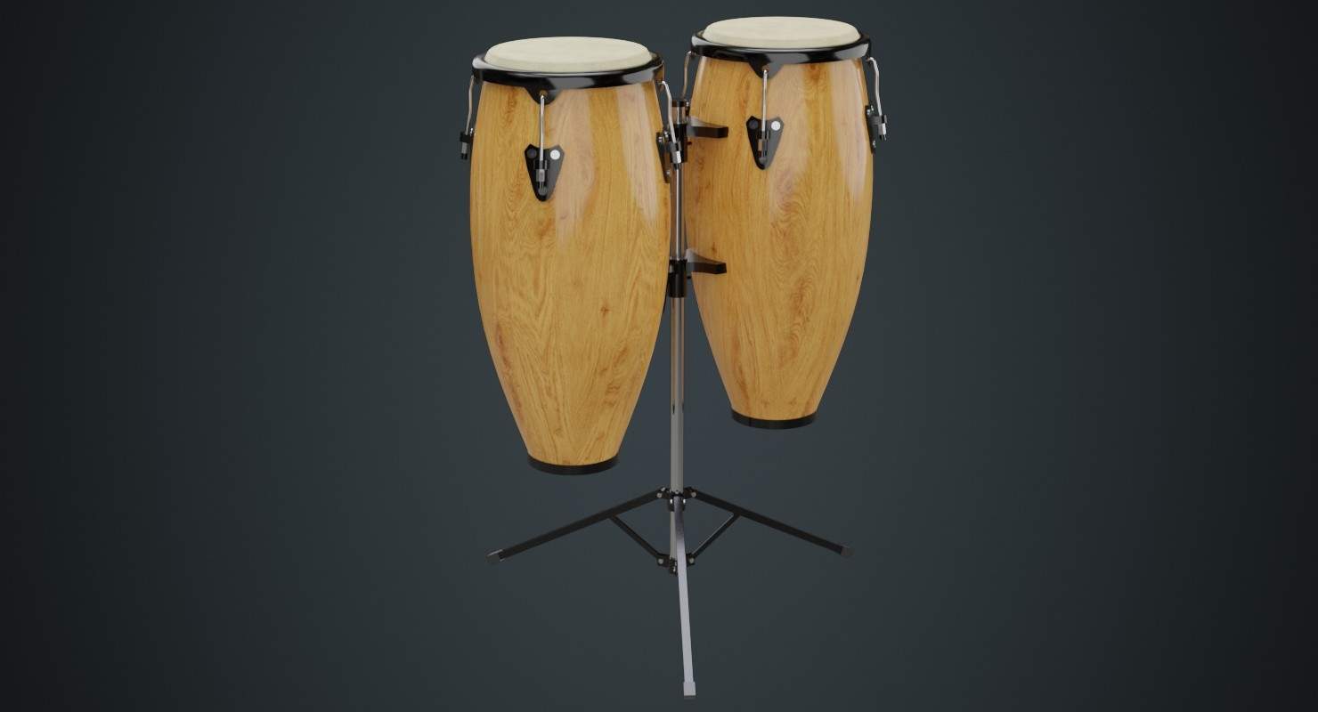 Conga - 3D Model by weeray