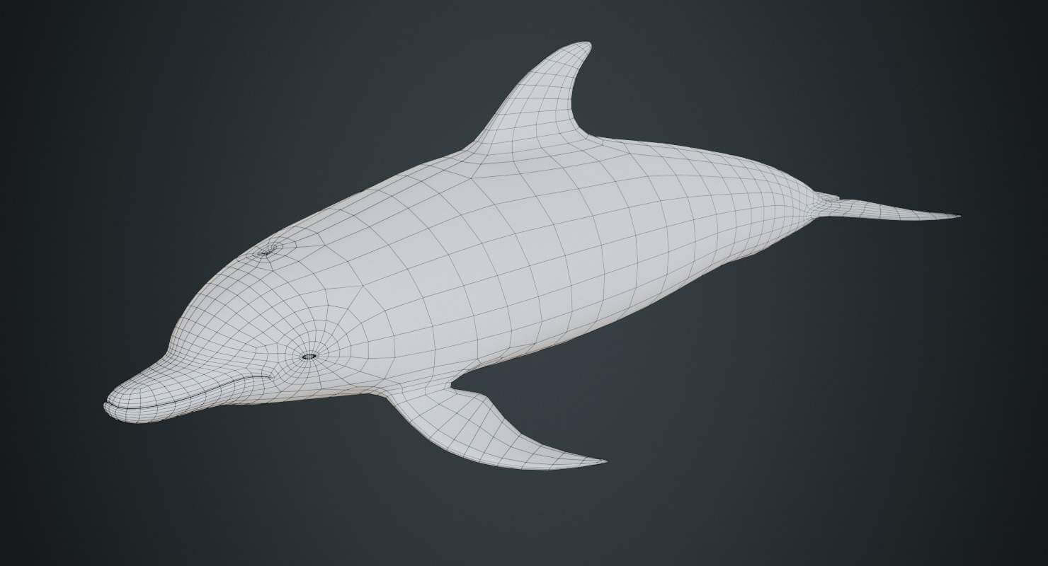 Dolphin 1A - 3D Model by weeray