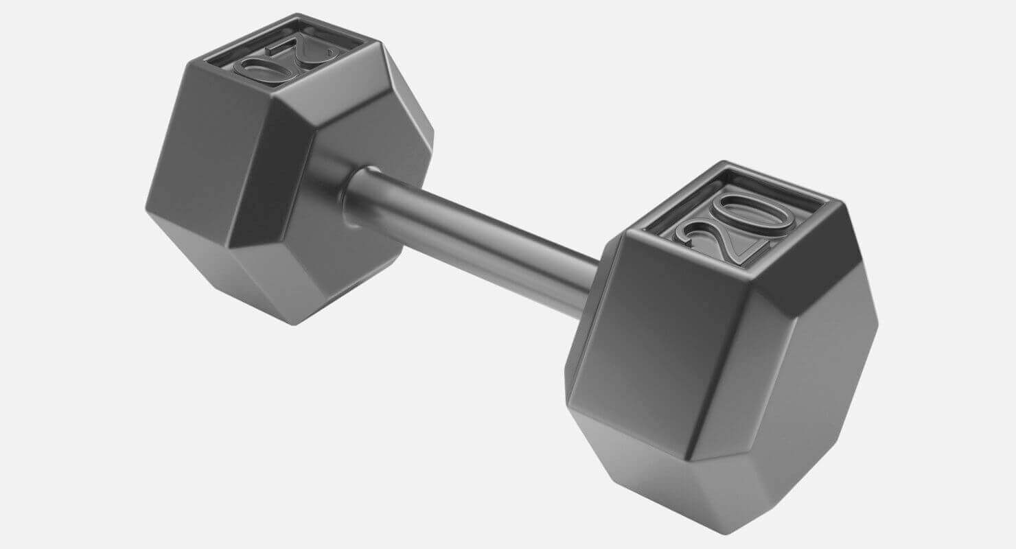 20 lb Dumbbell - 3D Model by weeray