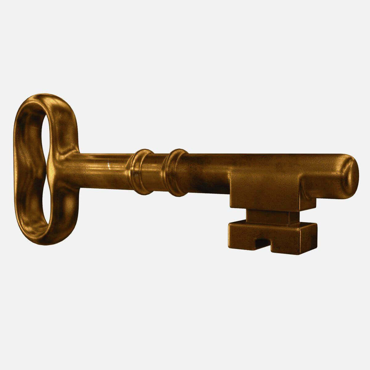 Skeleton Key - 3D Model by weeray