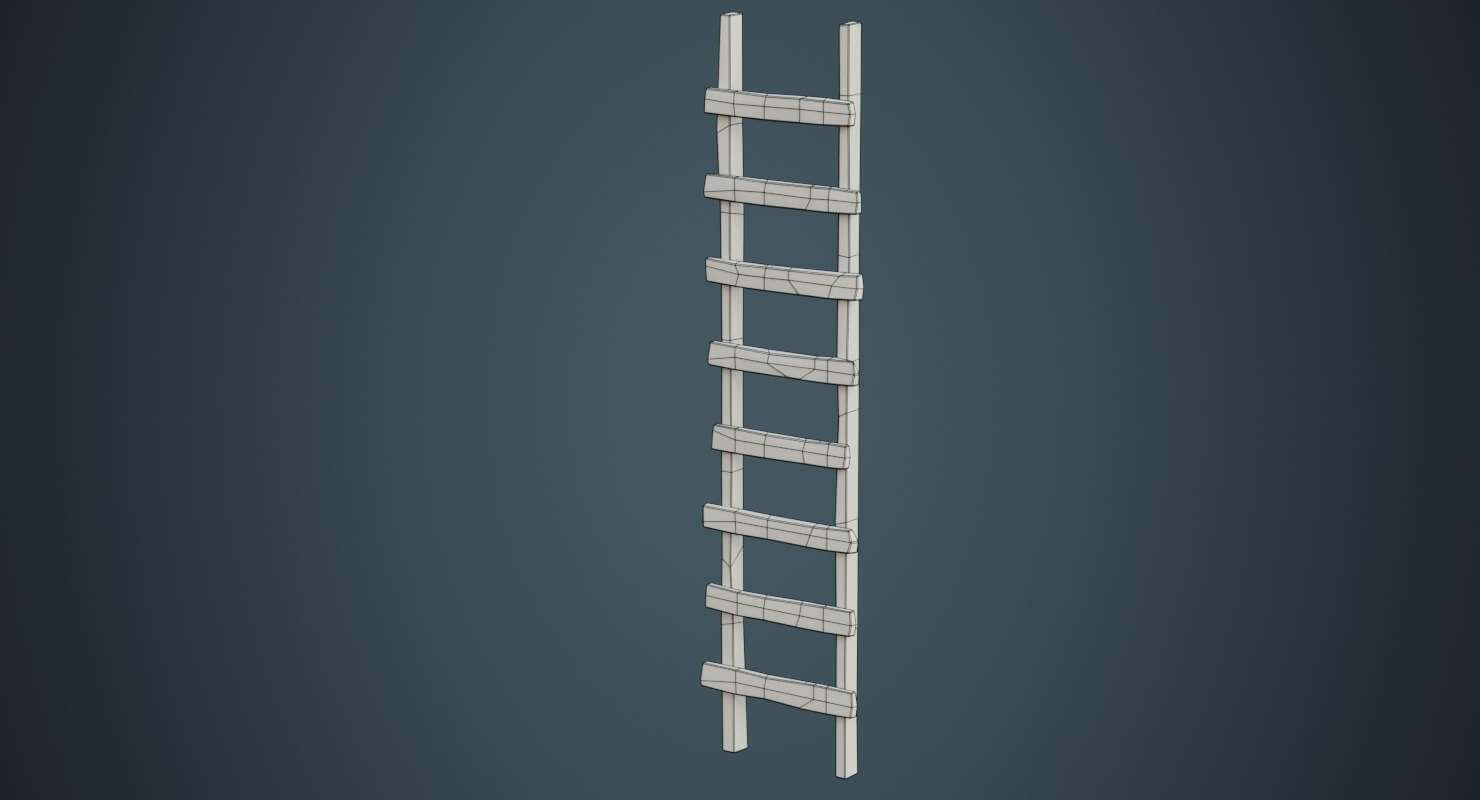 Ladder 2A - 3D Model by weeray