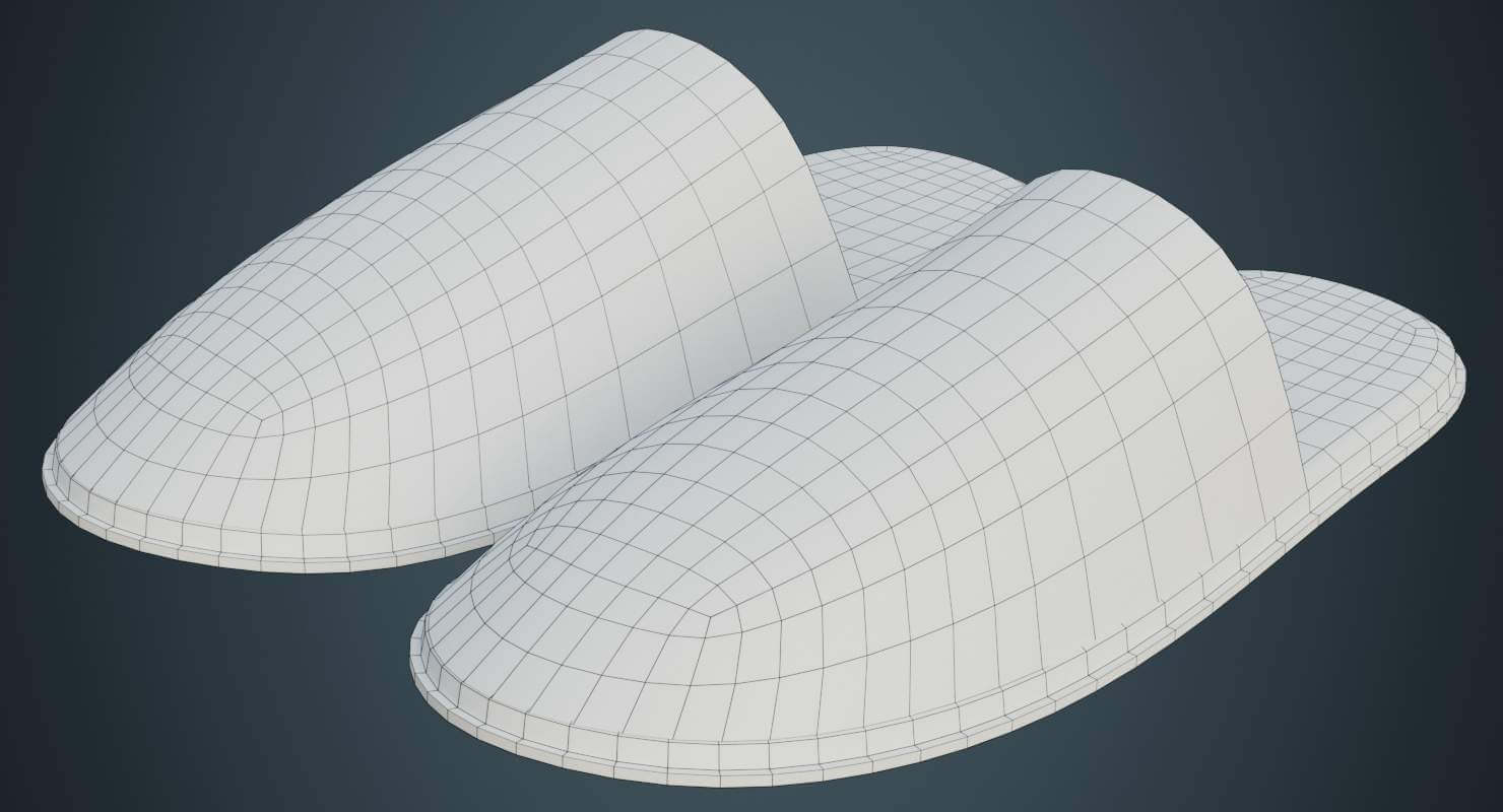 Slipper 2A - 3D Model by weeray