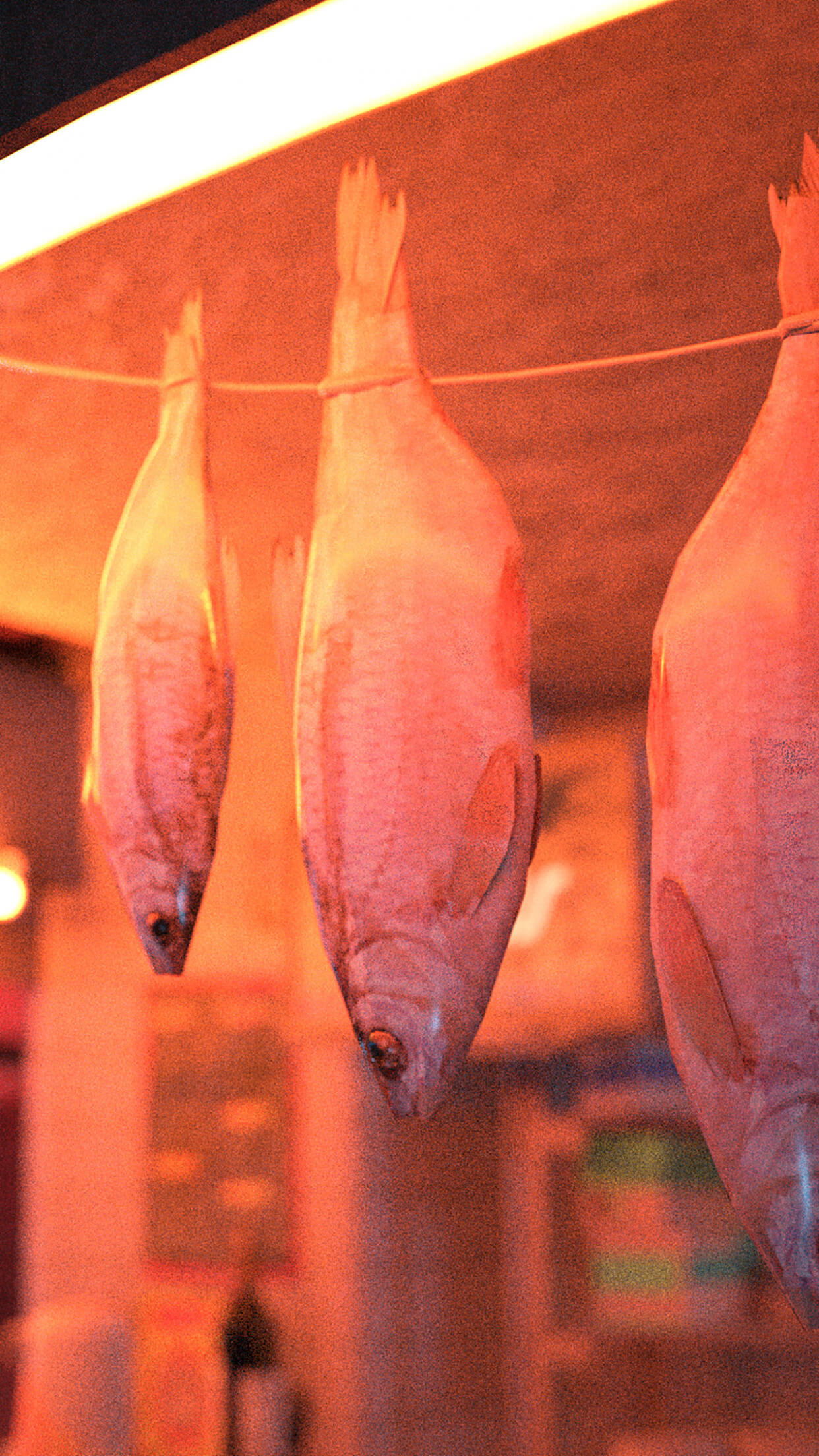 NIGHT FEVER 001 3D Desktop HD Wallpaper