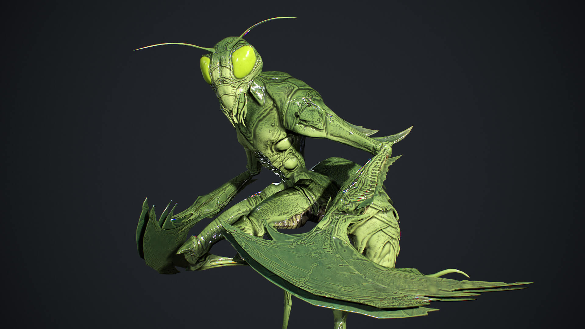 Insect Creature