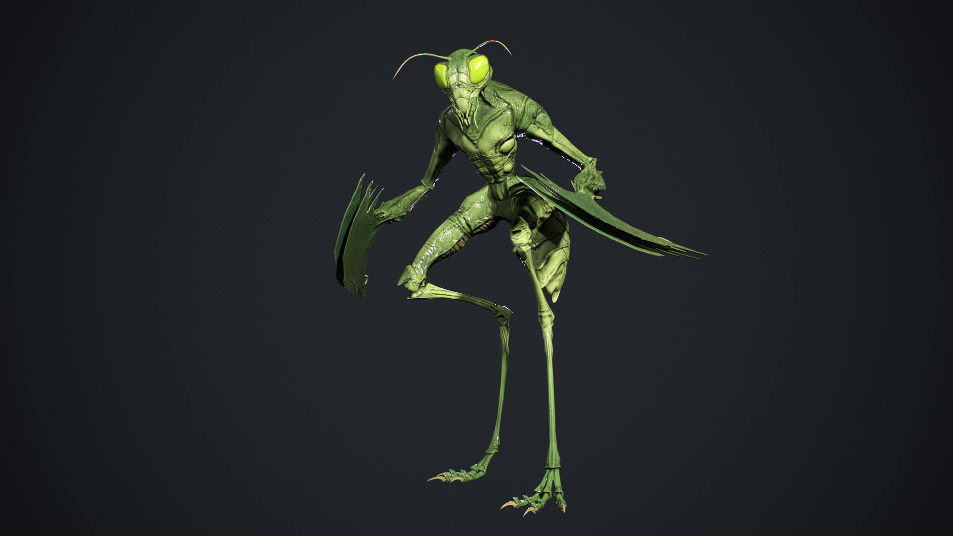Insect Creature