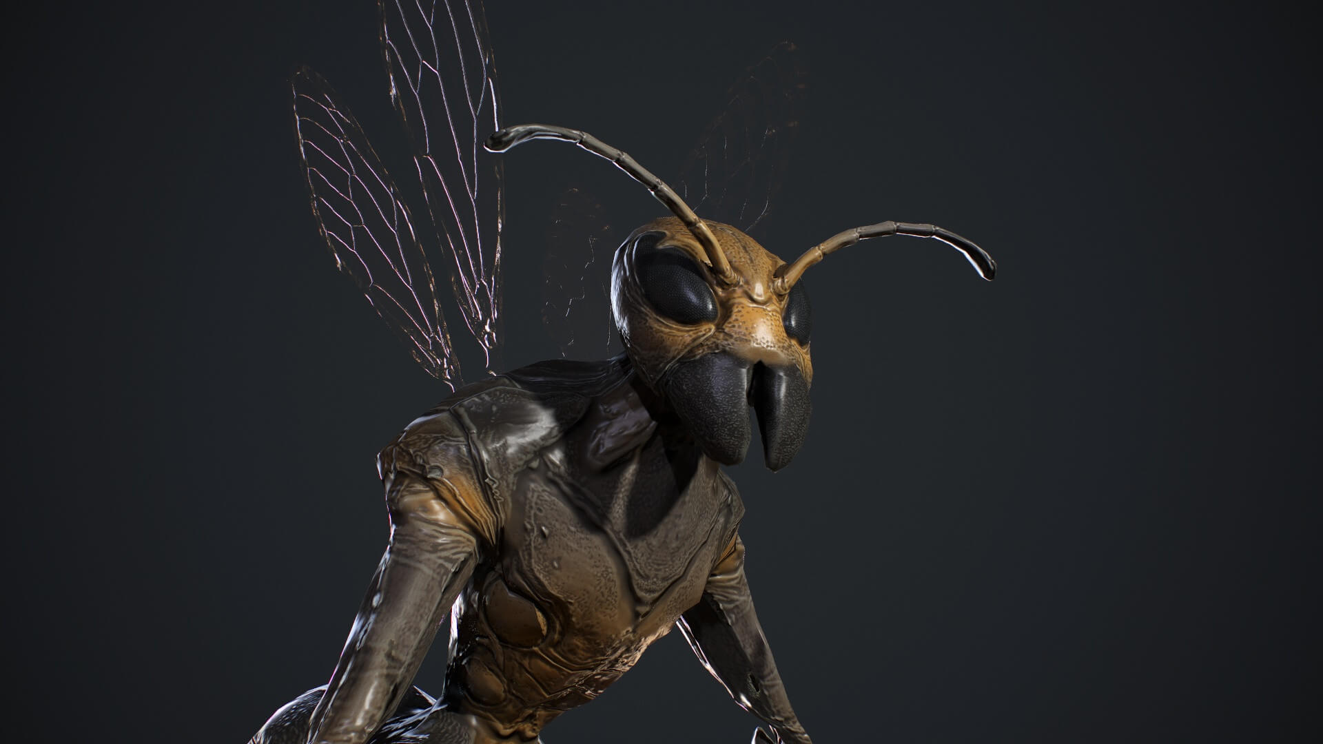 Insect Creature - 3D Model by Wernerkurt