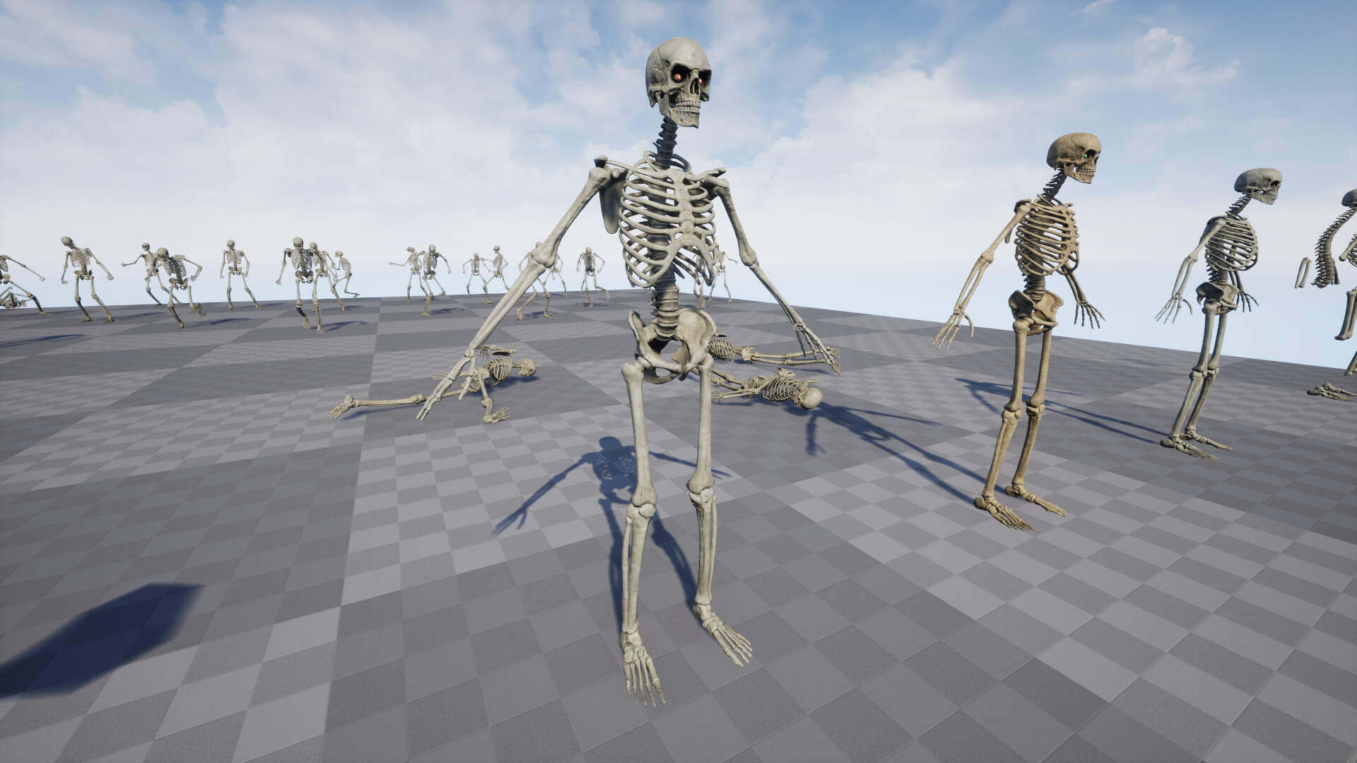 Skeleton 01 Low Poly - 3D Model by Wernerkurt