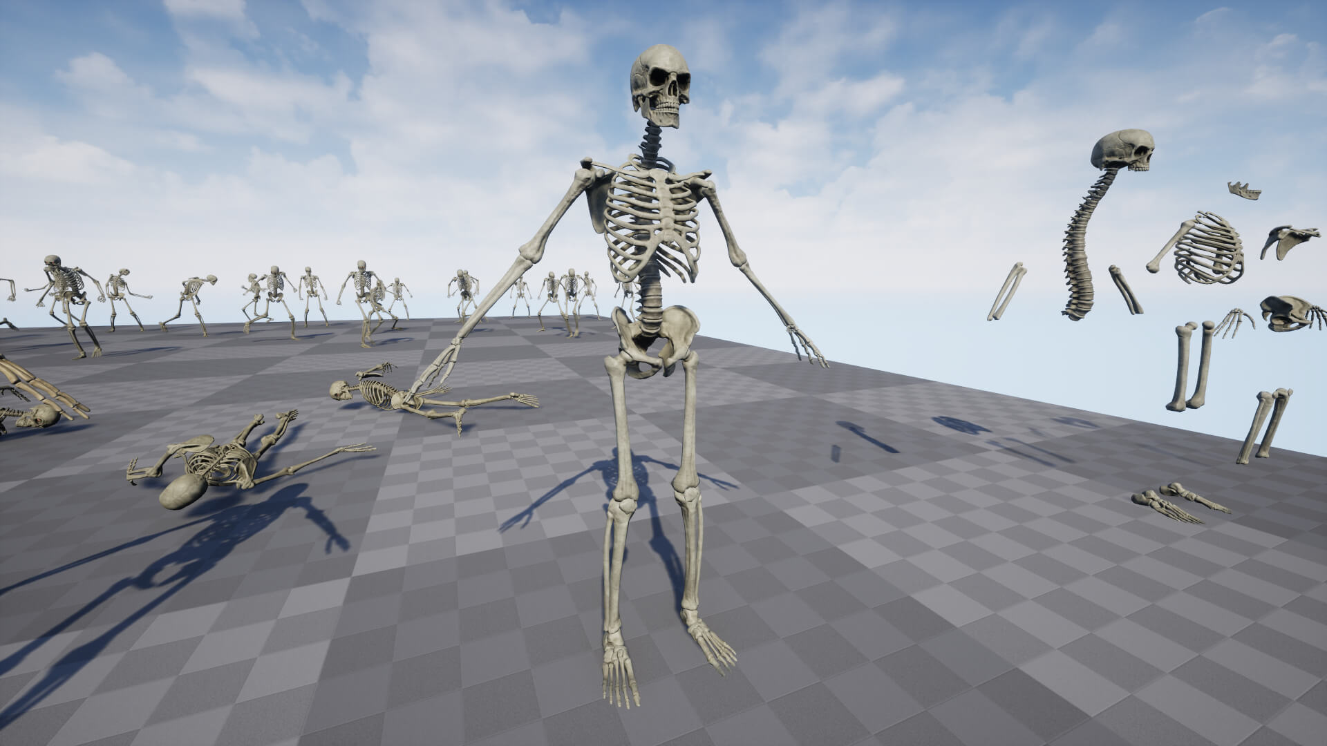 Skeleton 01 Low Poly - 3D Model by Wernerkurt