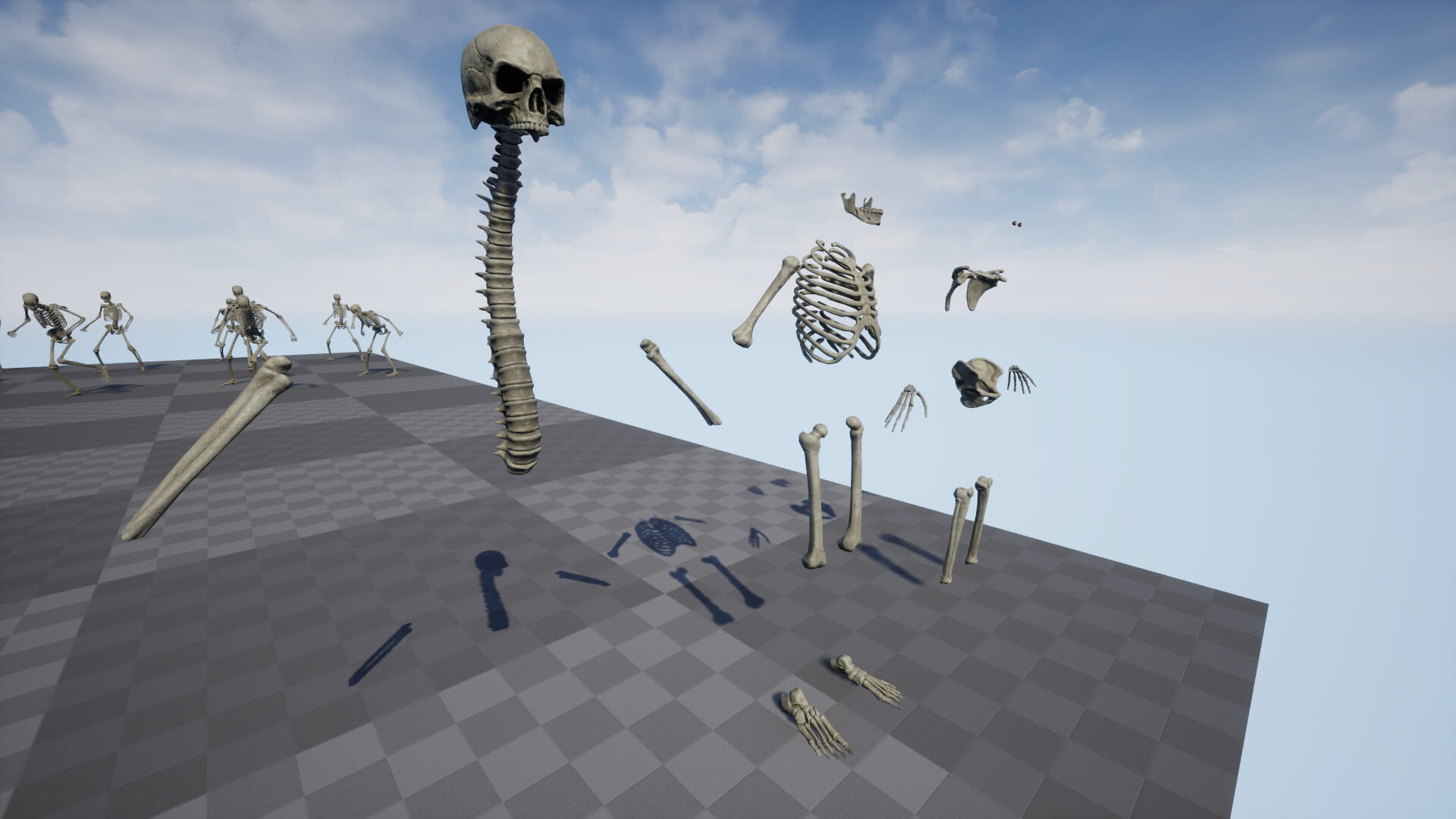 Skeleton 01 Low Poly - 3D Model by Wernerkurt