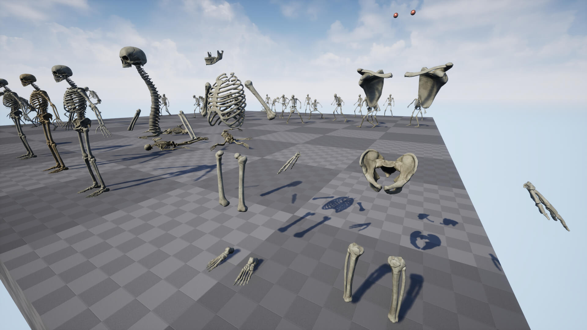 Skeleton 01 Low Poly - 3D Model by Wernerkurt