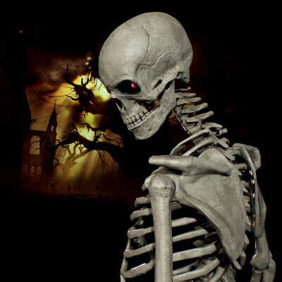 Skeleton 01 Low Poly - 3D Model by Wernerkurt