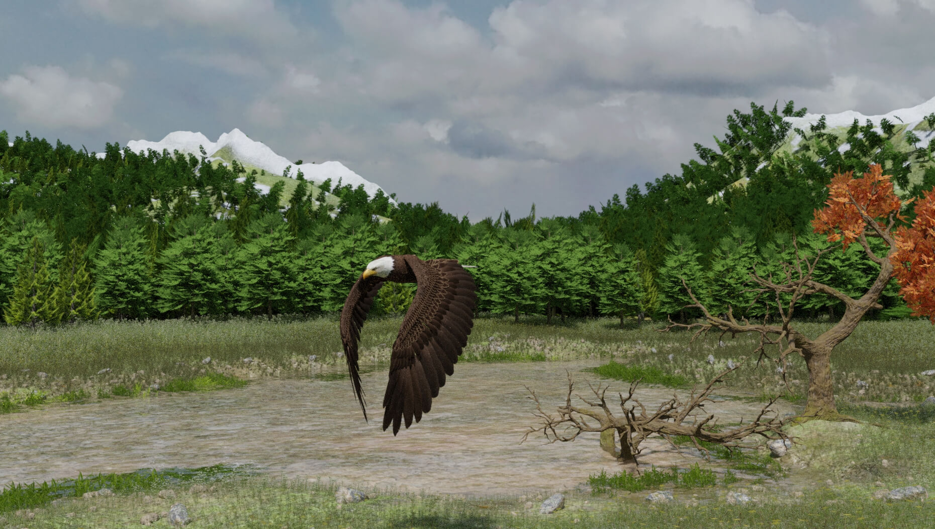 Fishing Eagle. 3D Render, Digital Art by westcala1c