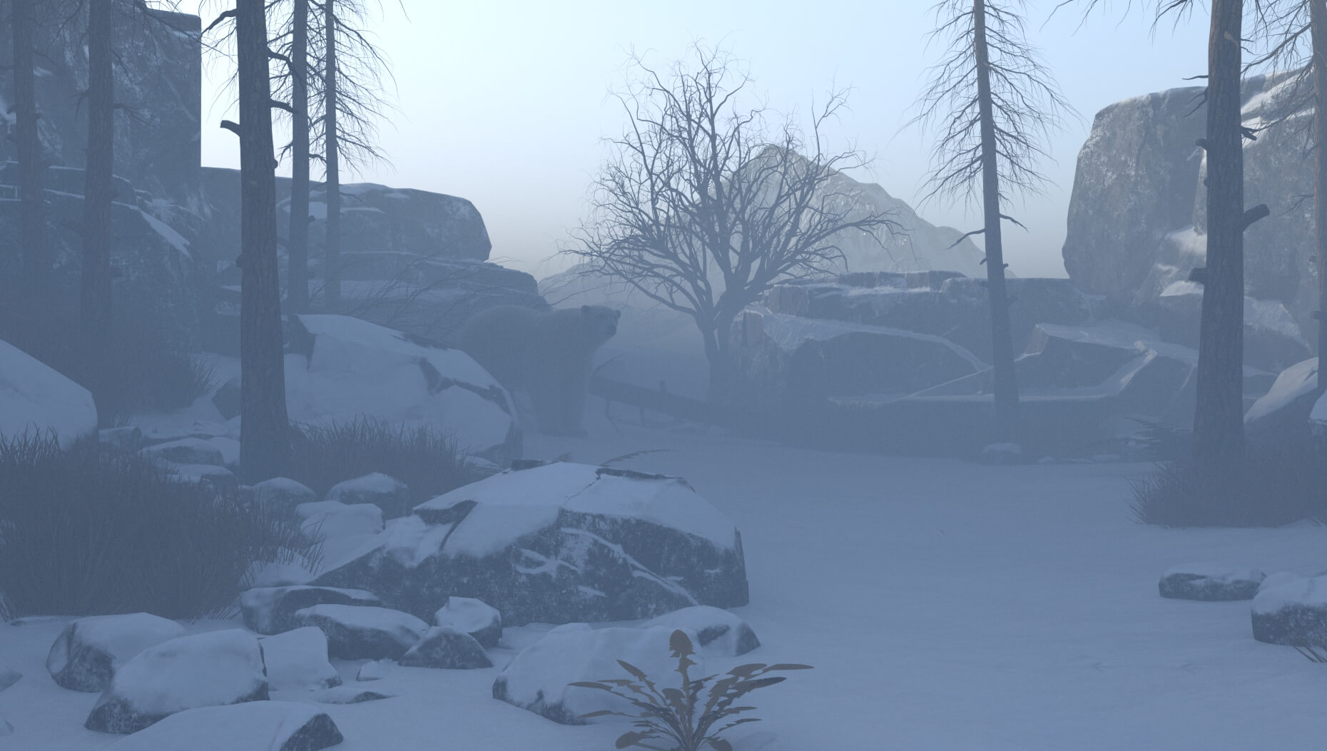 Foggy Bear. 3D Render, Digital Art by westcala1c