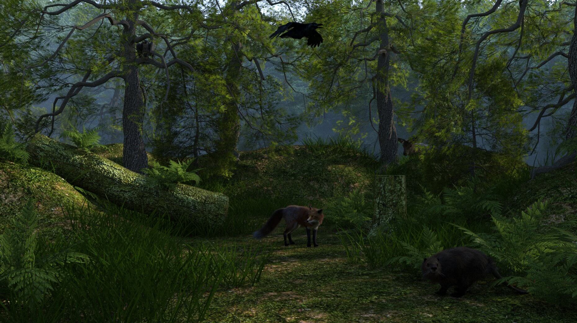 Life in the Forest 3D Render, Digital Art by westcala1c