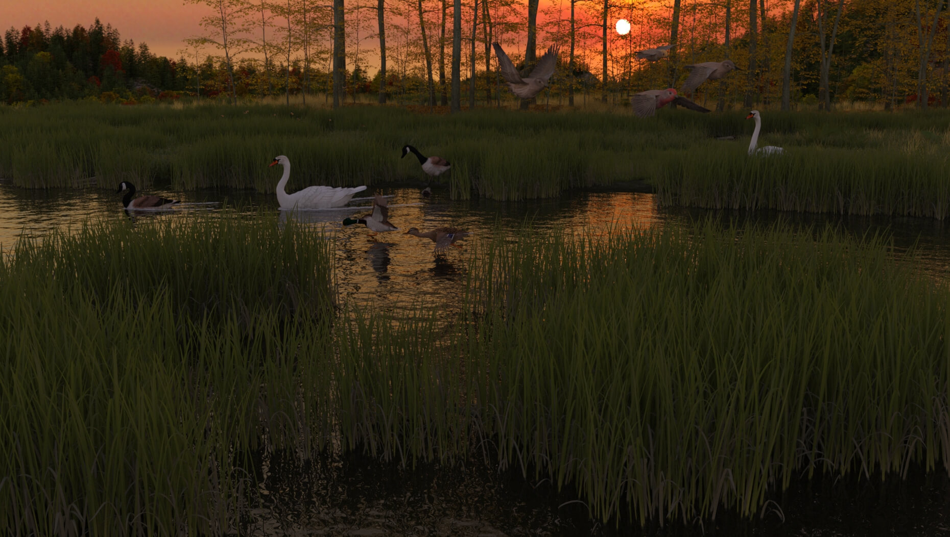 Reflections of a Wild Life Pond 3D Render by westcala1c