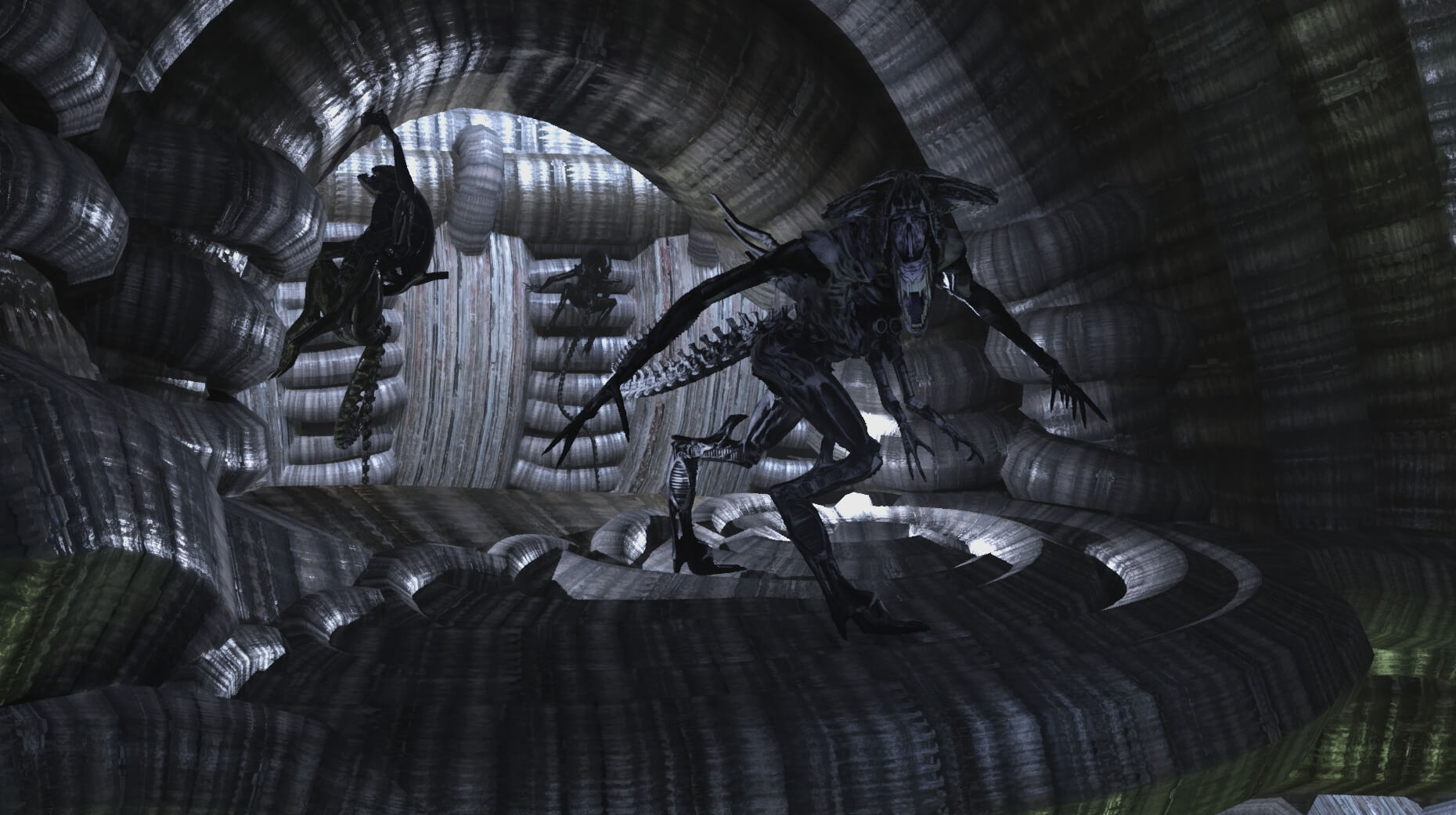 The Queens Chamber. 3D Render, Digital Art by westcala1c