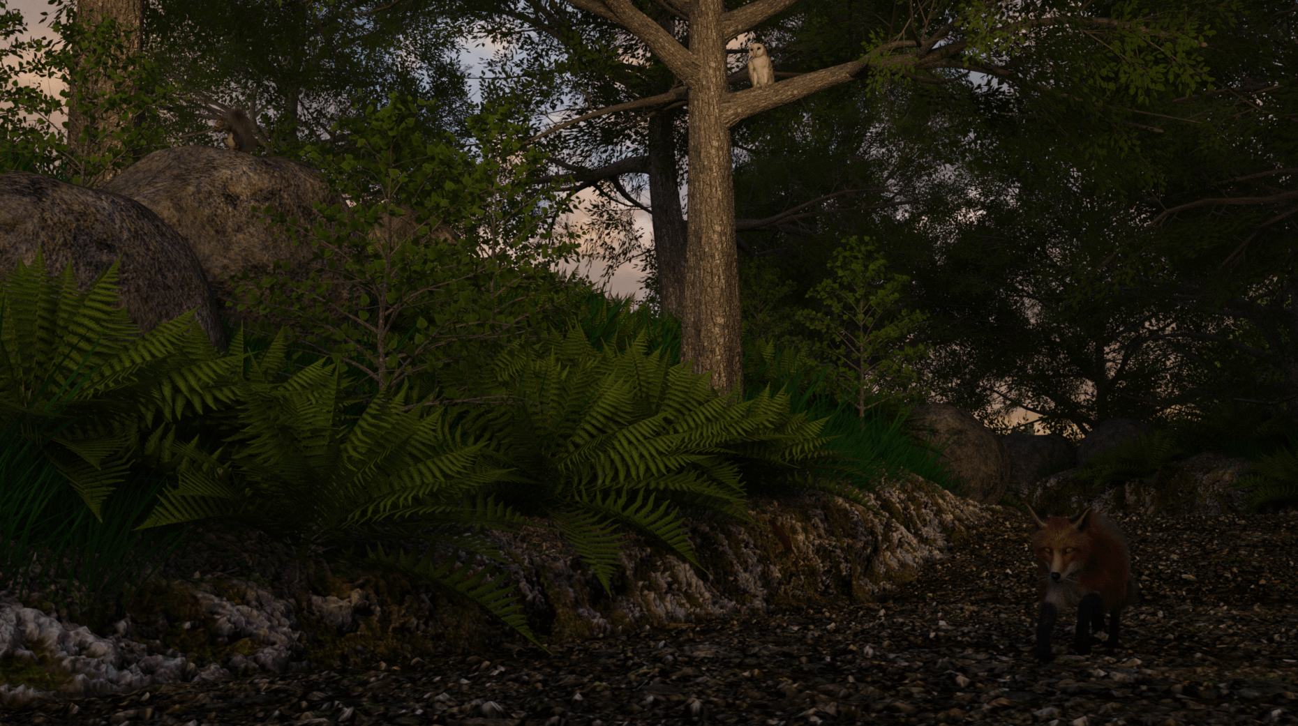 The Squirrel the Weasel the Fox and the Owl 3D Render