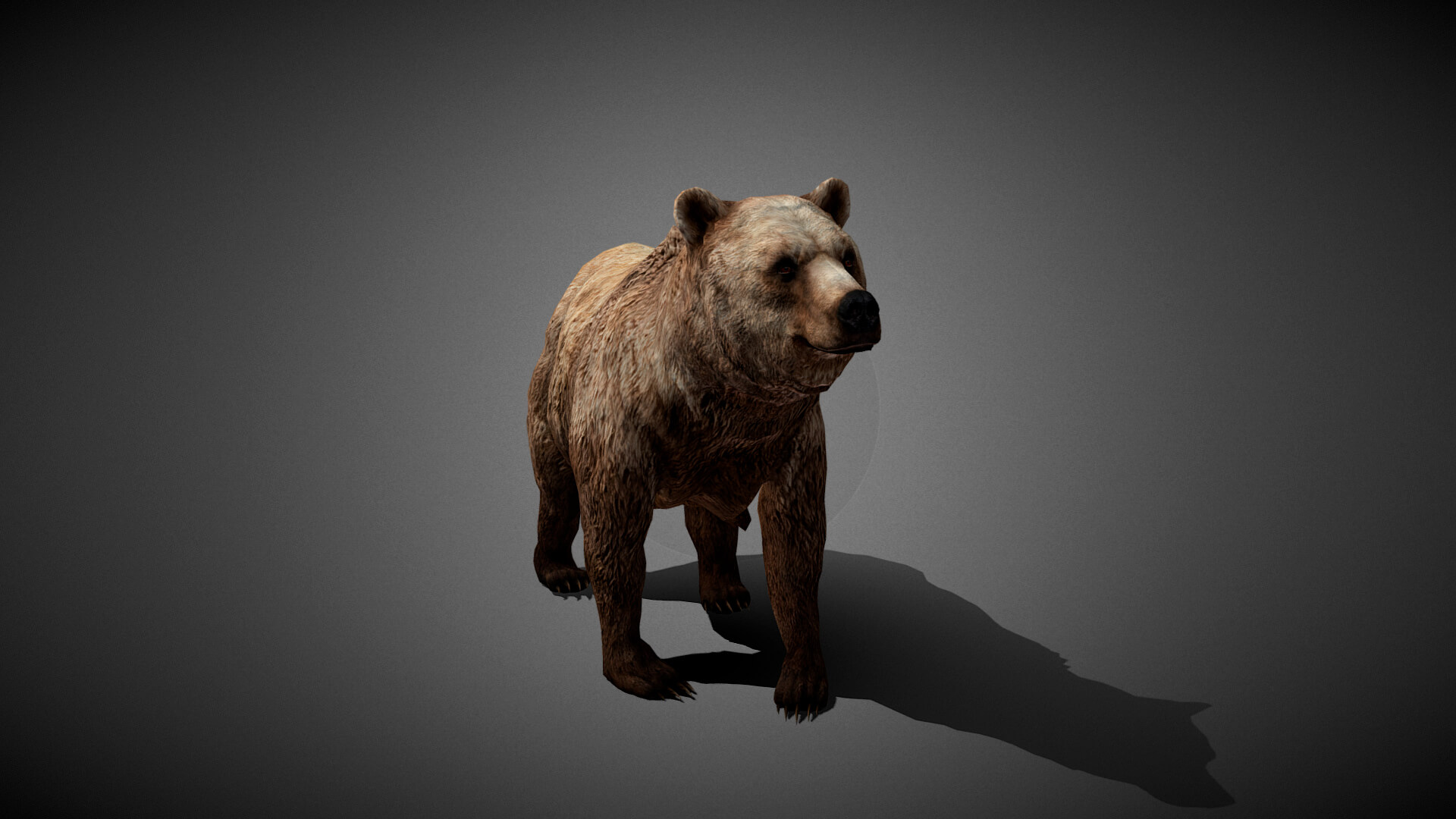 Realistic Animated Bear 3D Model by WildMesh 3D